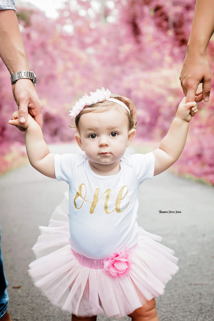 What to Do for Baby's One Year Pictures - Shannon Reece Jones ...